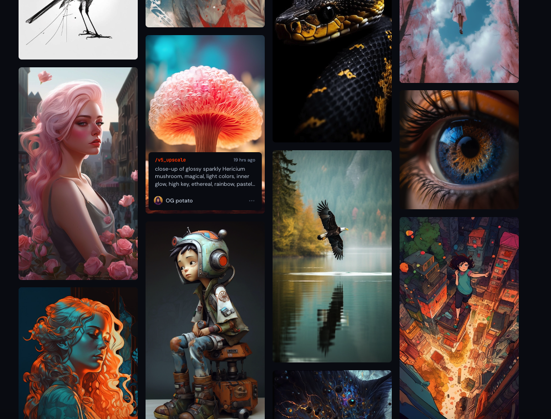 Wie benutzt man Midjourney? - Schritt für Schritt Anleitung